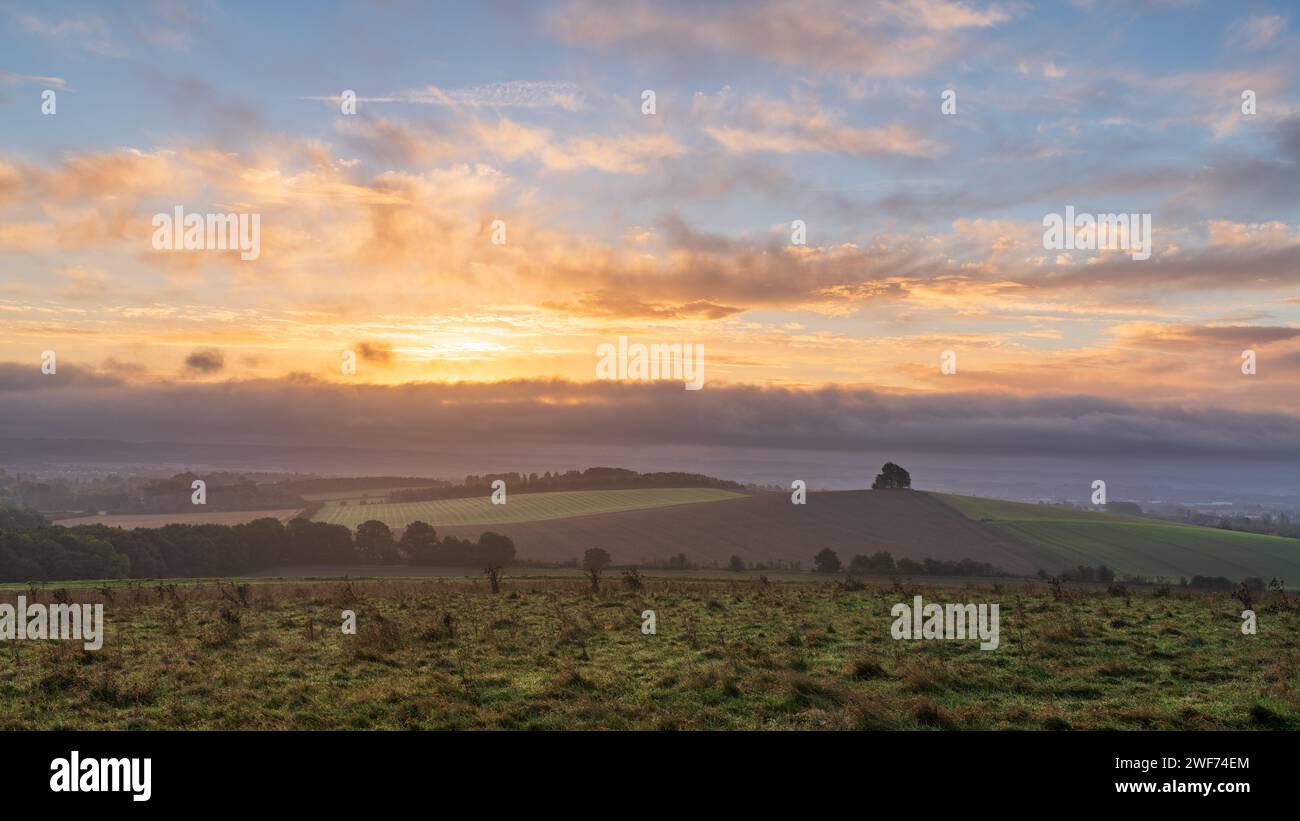 Wittenham clumps oxfordshire hi-res stock photography and images - Alamy