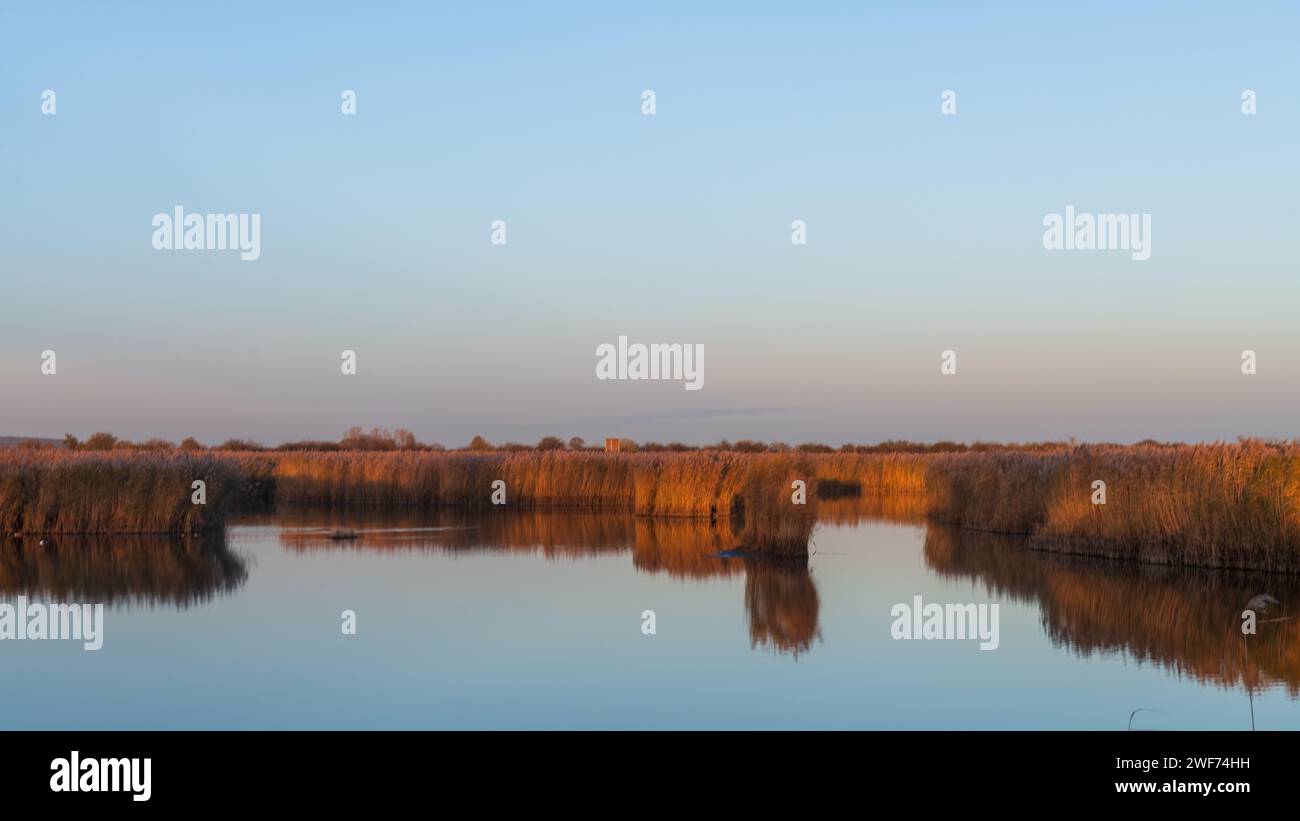 Lake in evening light at RSPB Otmoor Oxfordshire Stock Photo - Alamy