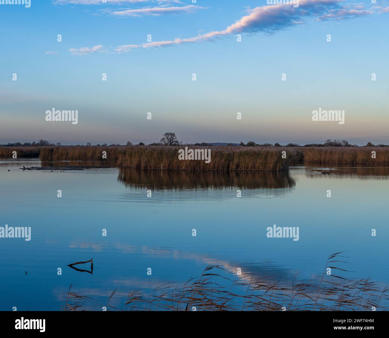 Otmoor uk hi-res stock photography and images - Alamy
