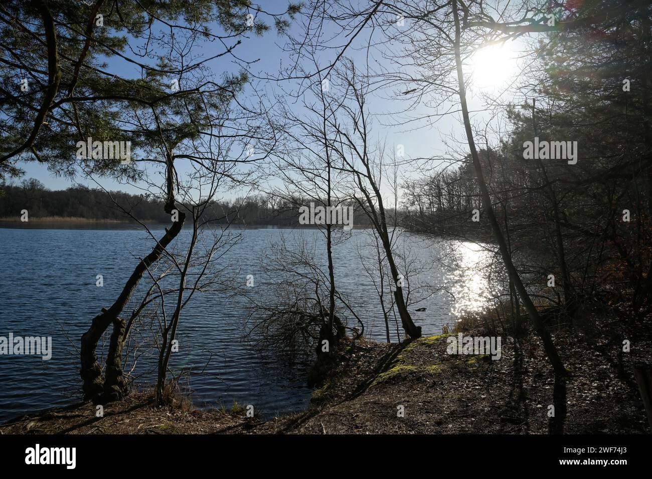 Sacrower See und Königswald, Potsdam, Brandenburg, Deutschland Stock ...