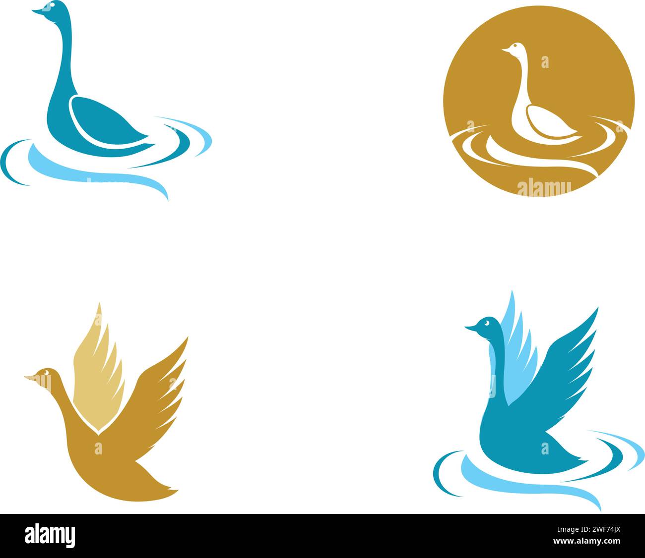 Swan icon Template vector illustration design Stock Vector Image & Art ...