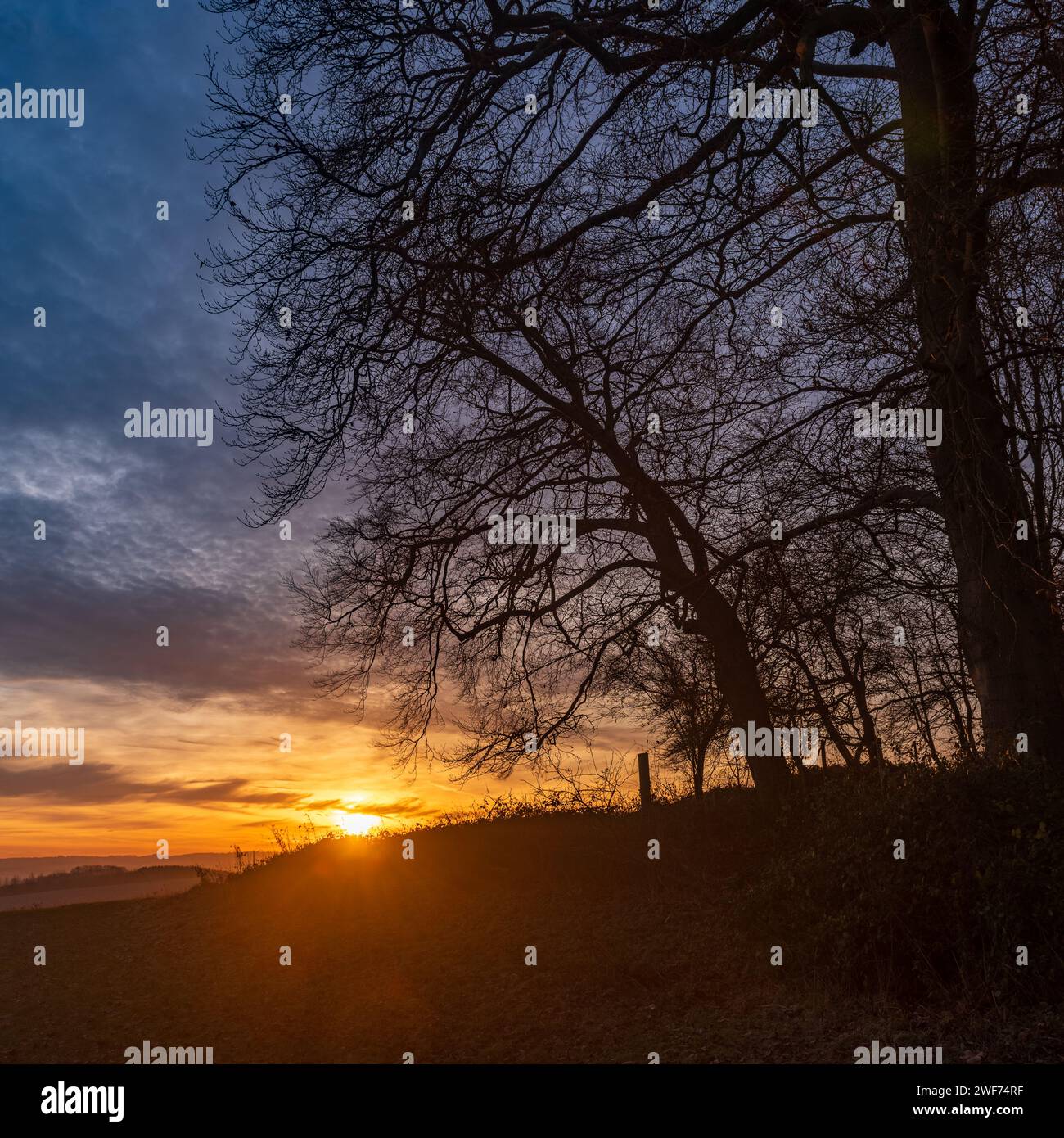 Wittenham clumps oxfordshire hi-res stock photography and images - Alamy