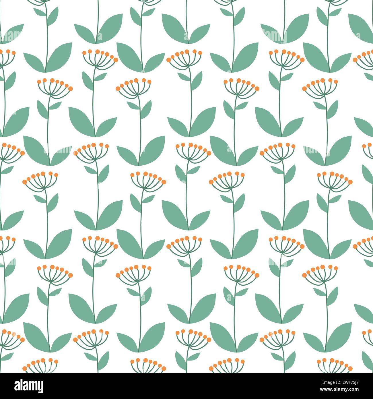 Umbrella herbs Stock Vector Images - Alamy