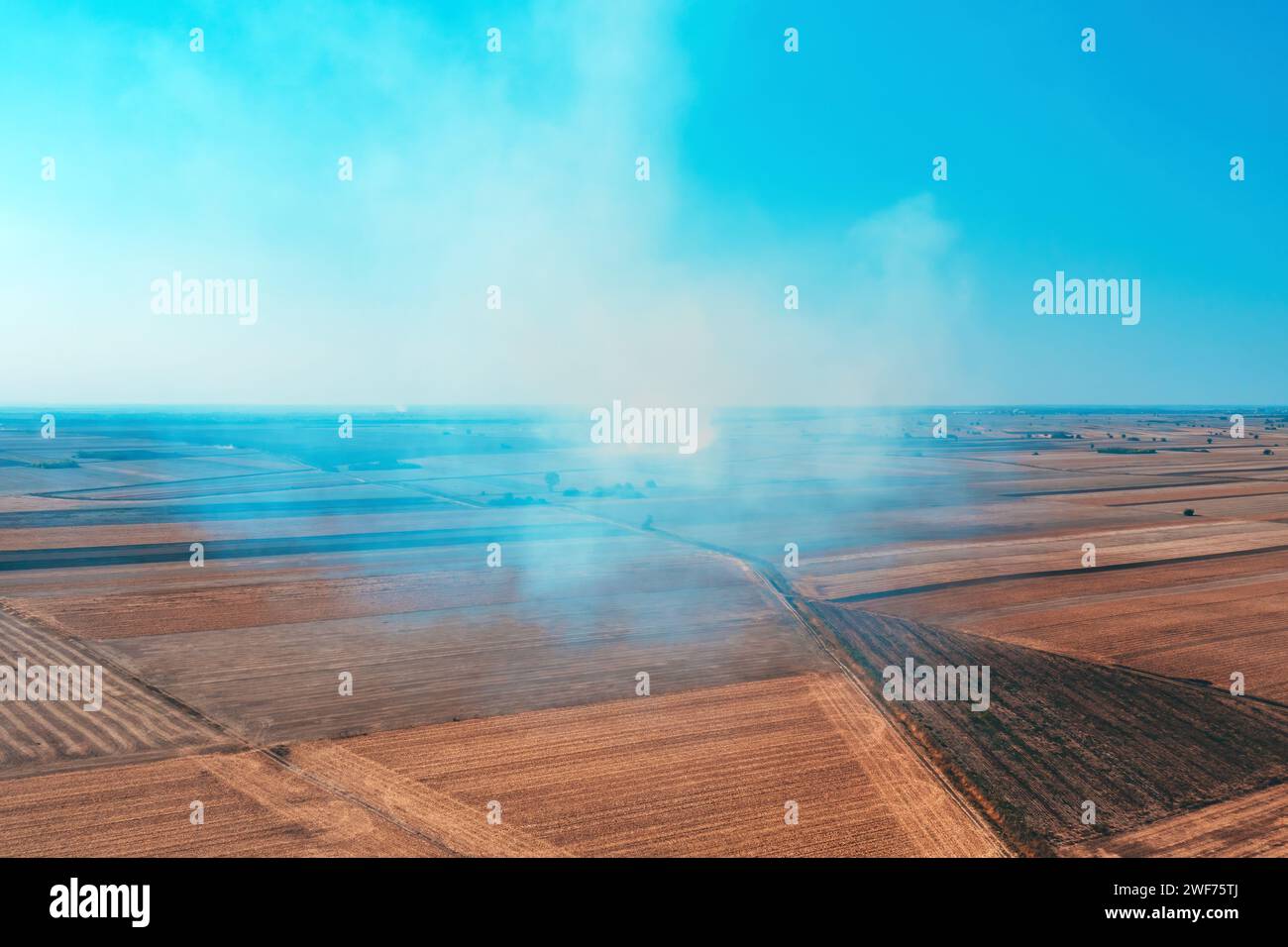 Wheat field stubble burning after the harvesting of grains is one of ...
