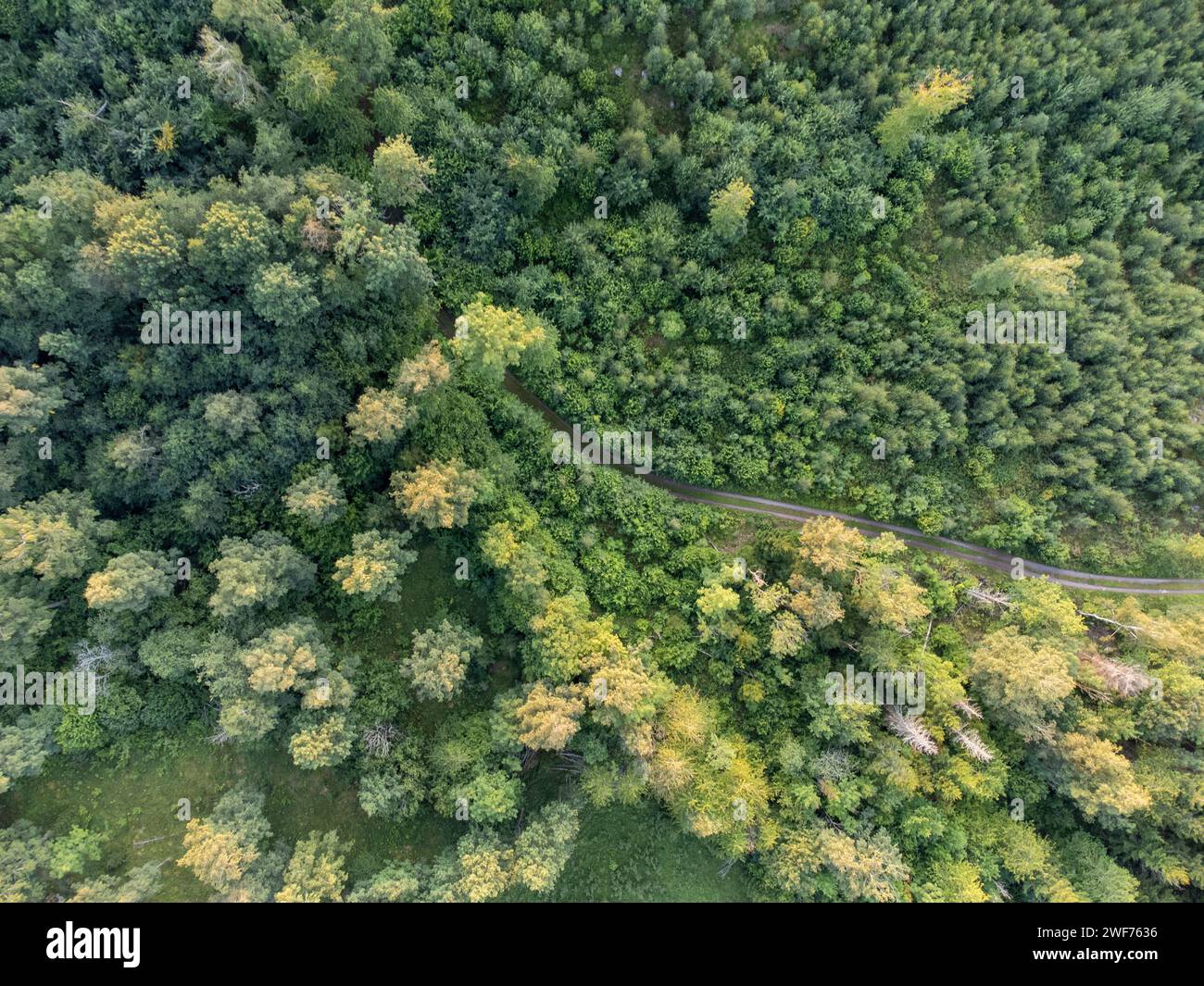 An aerial view of autumnal green field and trees in Sweden Stock Photo ...