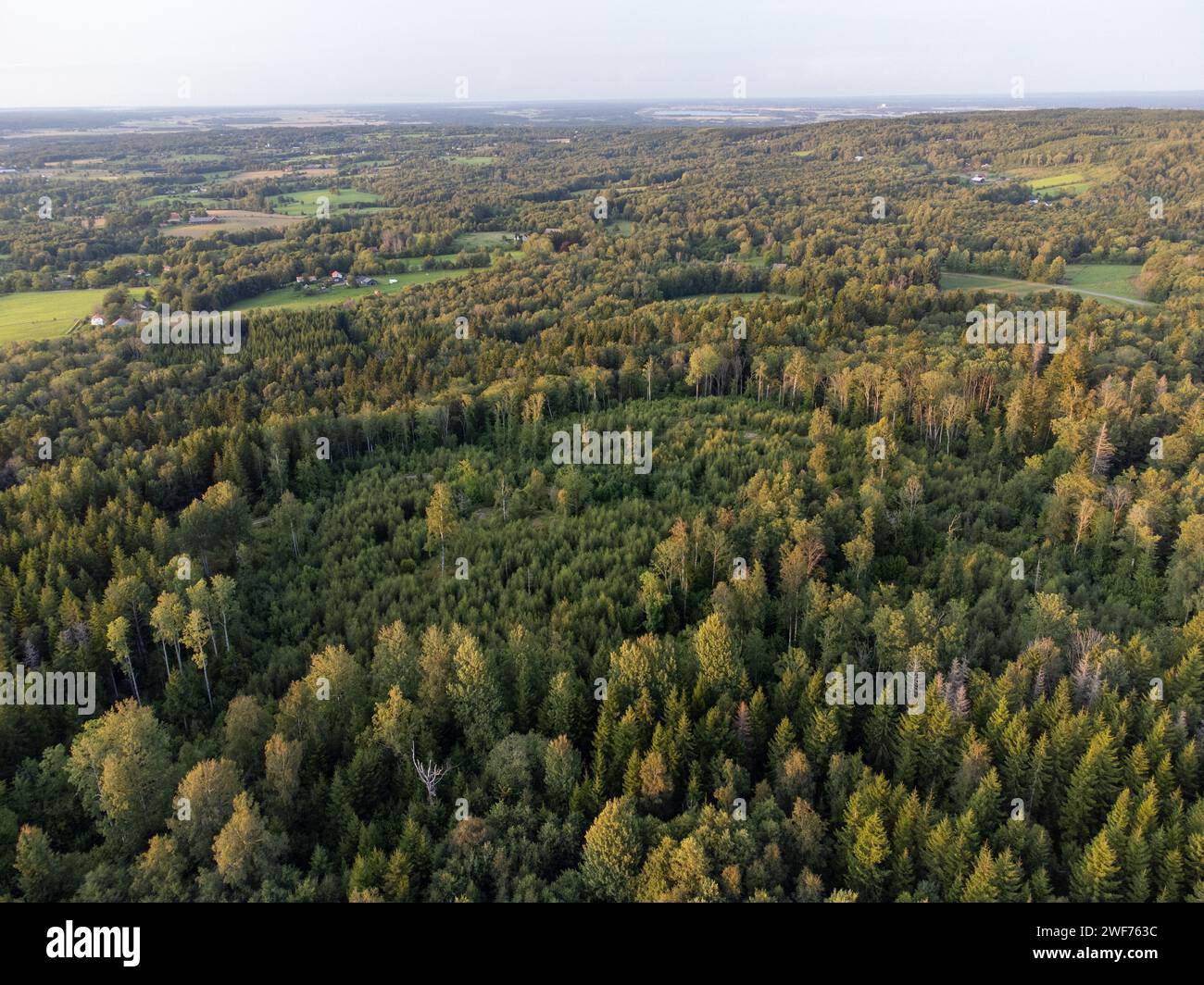 An aerial view of autumnal green field and trees in Sweden Stock Photo ...