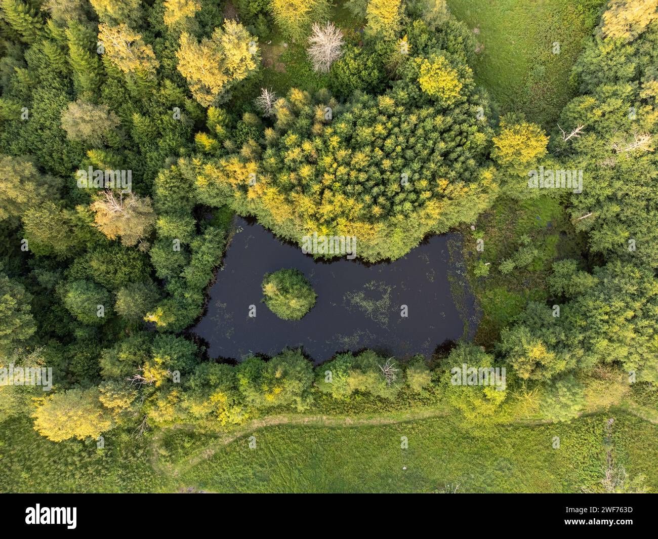 Green field and trees hi-res stock photography and images - Alamy