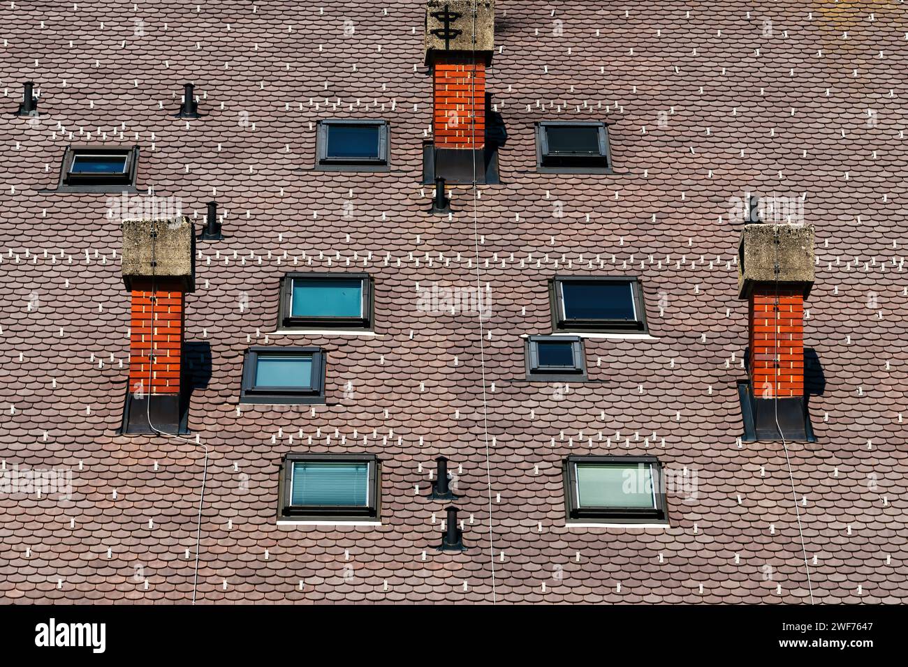 Roof tile pattern with chimneys, skylight windows, snow stoppers and ...