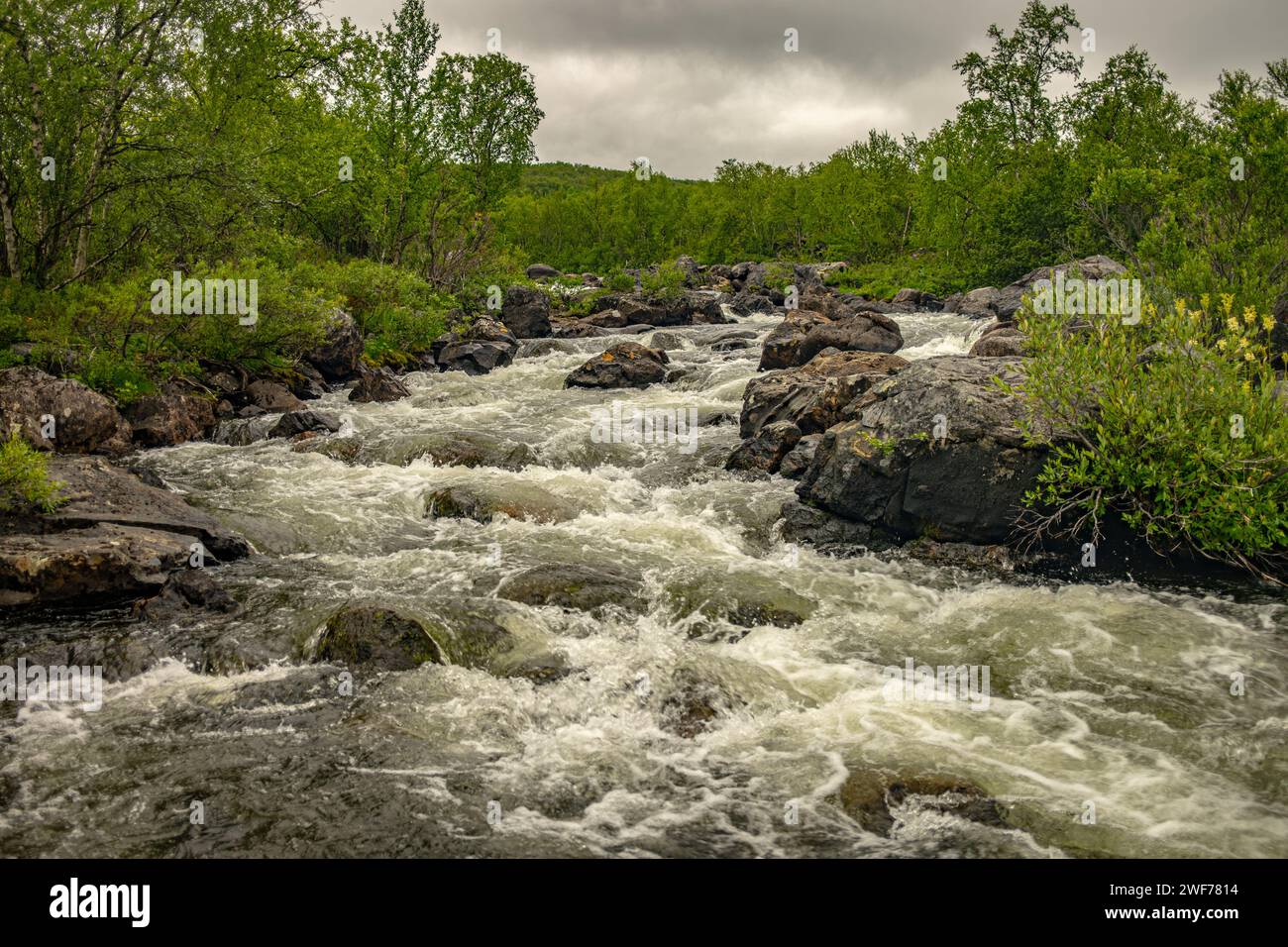 Tana river hi-res stock photography and images - Alamy