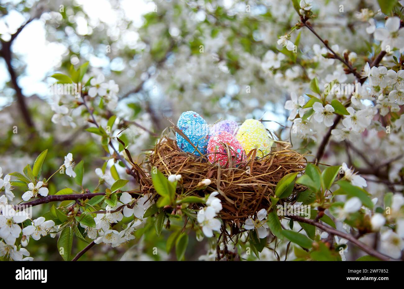 Bird nest in a flowering tree with easter eggs for Easter Stock Photo ...