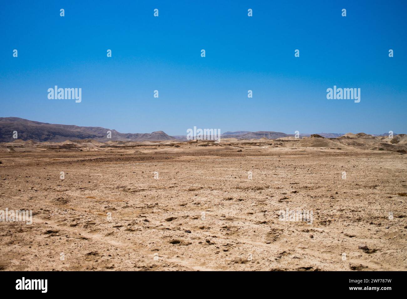 Expansive view of the arid Judean Desert terrain under the bright blue ...