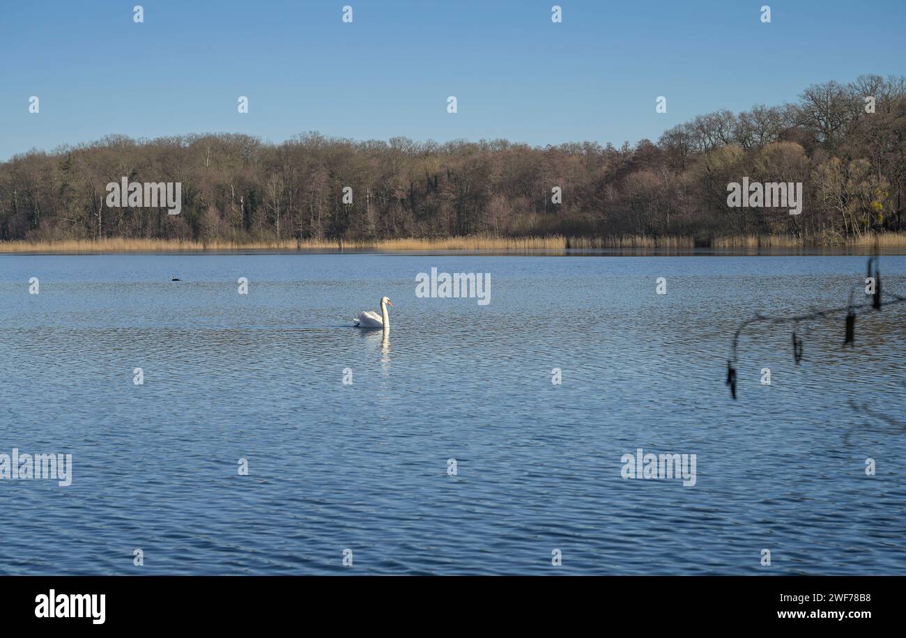 Sacrower See, Potsdam, Brandenburg, Deutschland Sacrower See, Potsdam ...