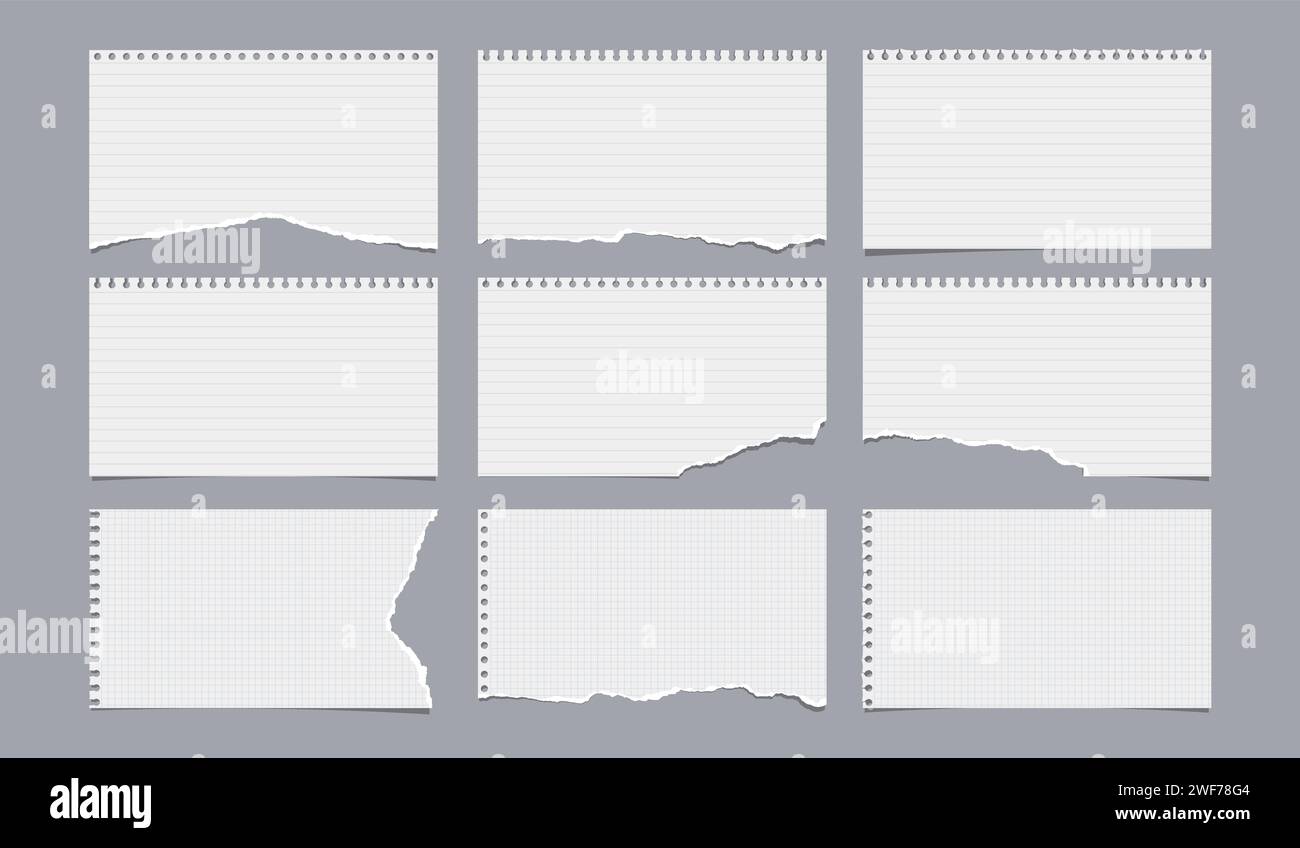 Set of torn, ripped paper strips, lined, math notebook sheets with hard ...