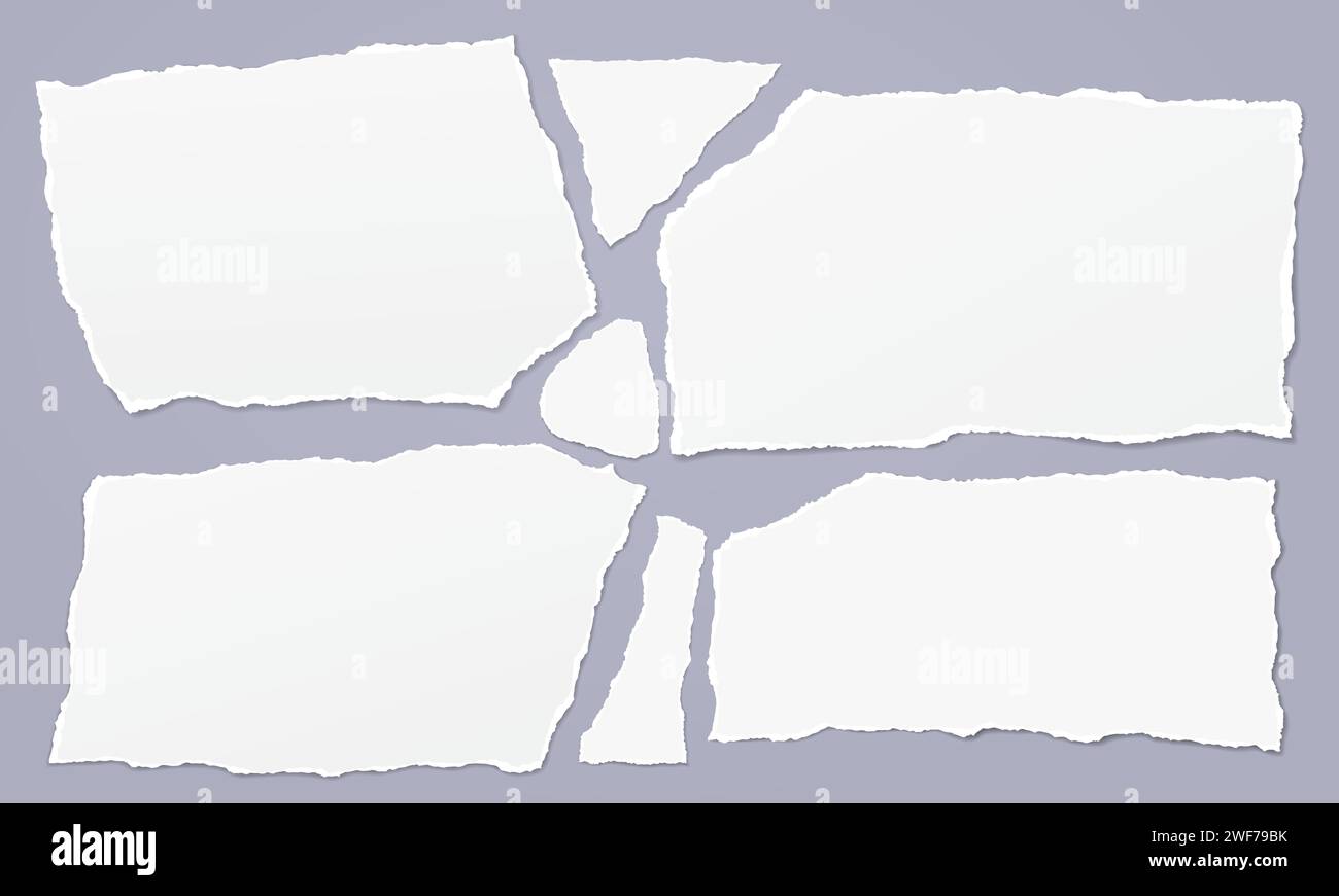 Set of torn, ripped paper strips with soft shadow are on light grey ...