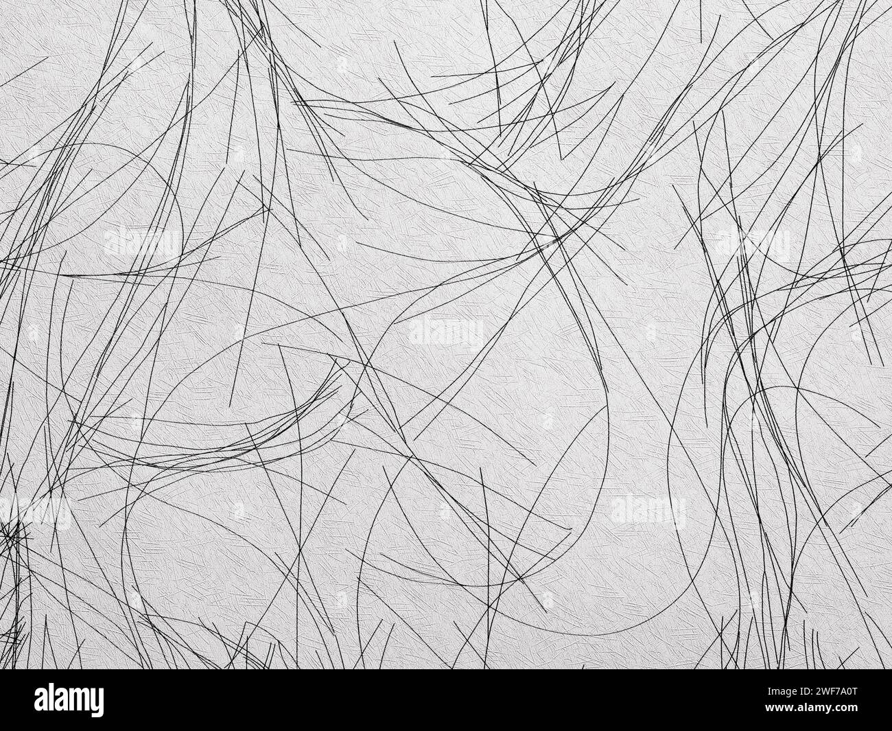 Abstract white background or backdrop with scribbled black lines ...