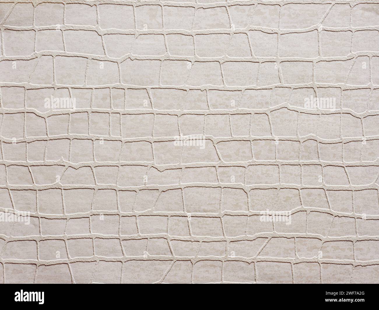 Abstract textured white creme colored background or backdrop. Wallpaper ...