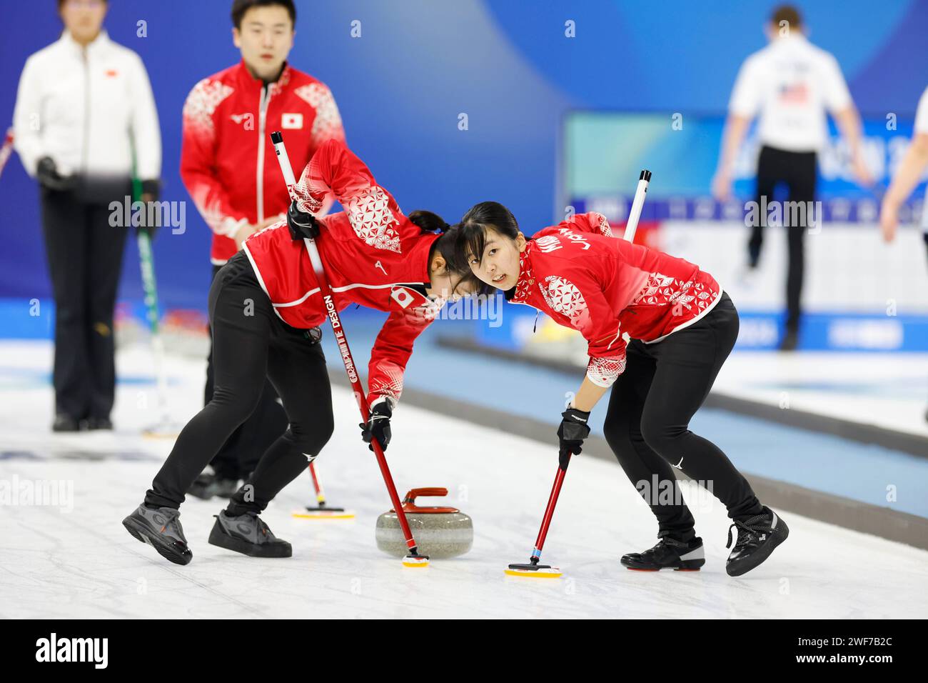 Himari sato hi-res stock photography and images - Alamy