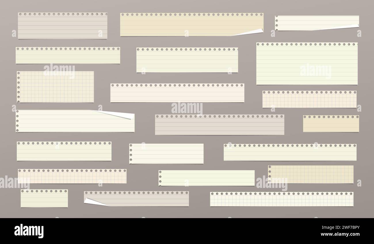 Set of cut paper strips, lined, math notebook sheets with hard shadow ...