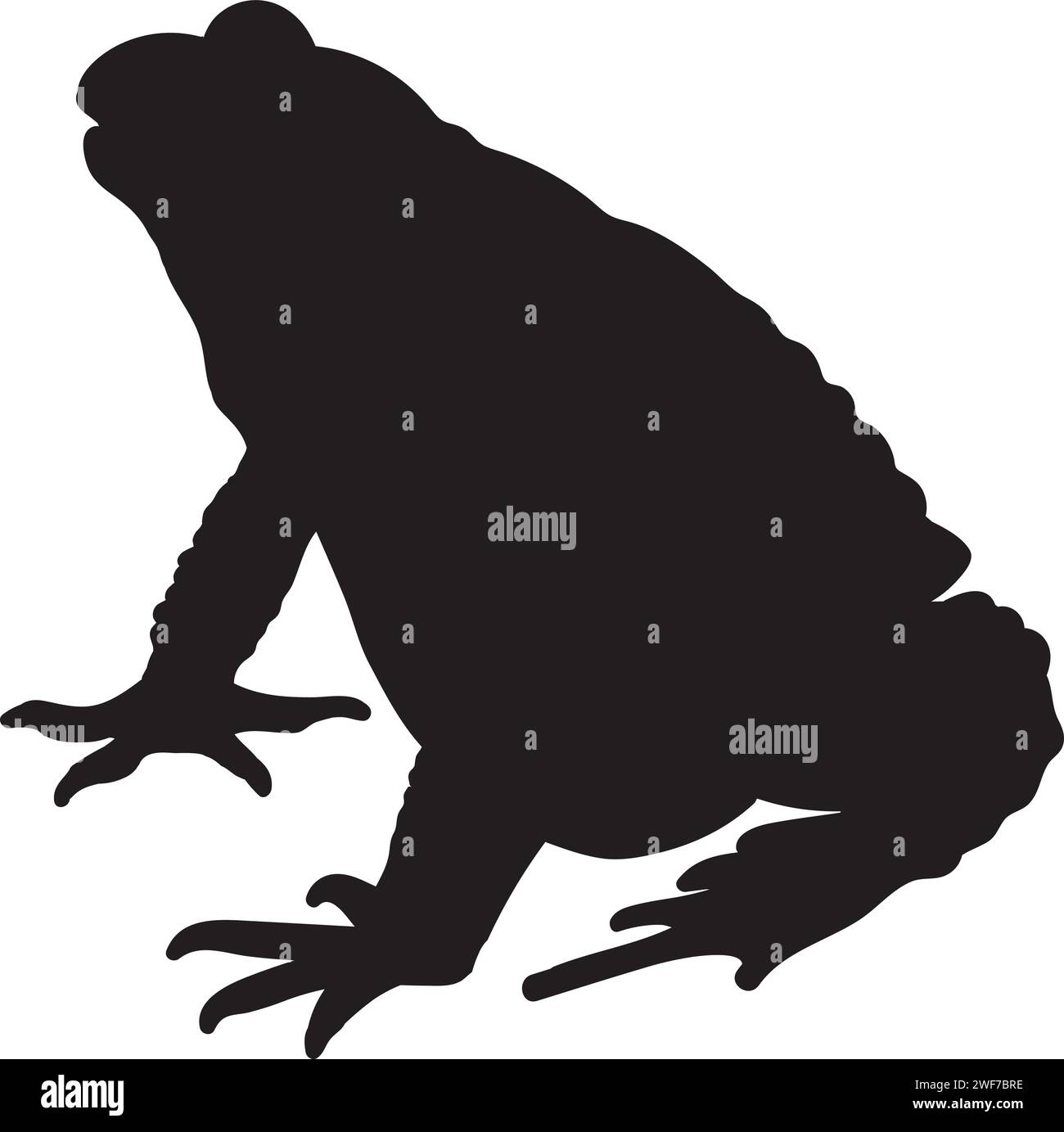 Black silhouette big toad frog animal body, fairy tale Halloween ...