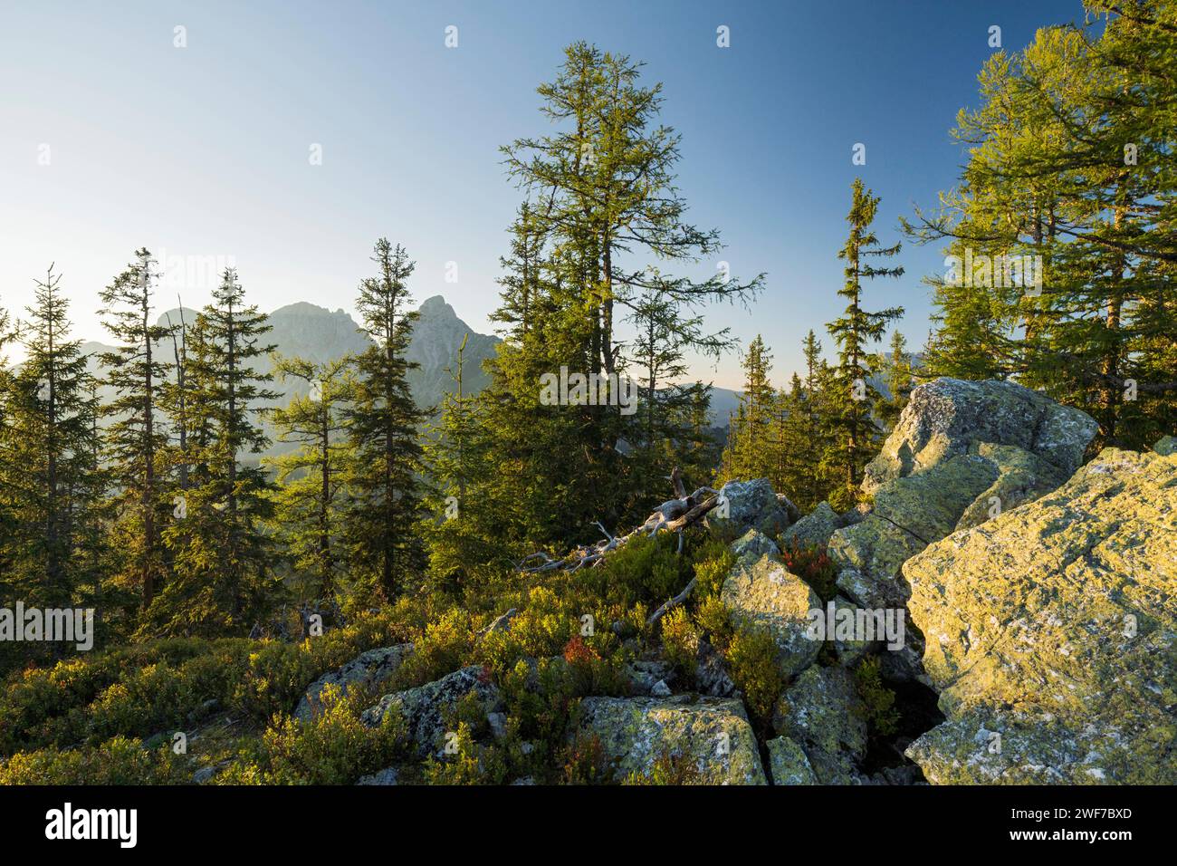 View from spielkogel to reichenstein hi-res stock photography and ...