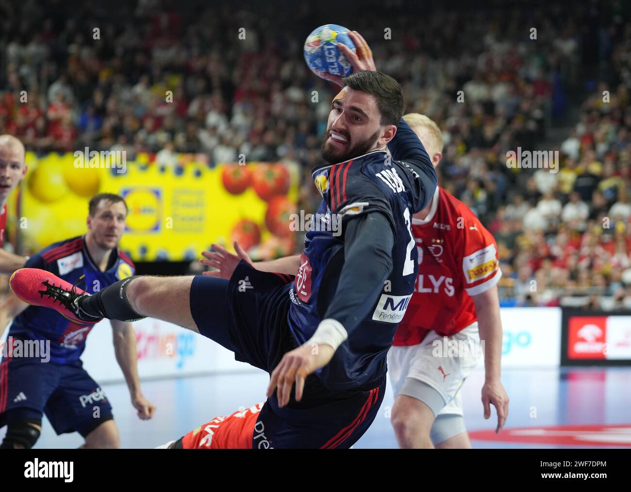 Cologne, France. 28th Jan, 2024. Ludovic Fabregas of France during the ...