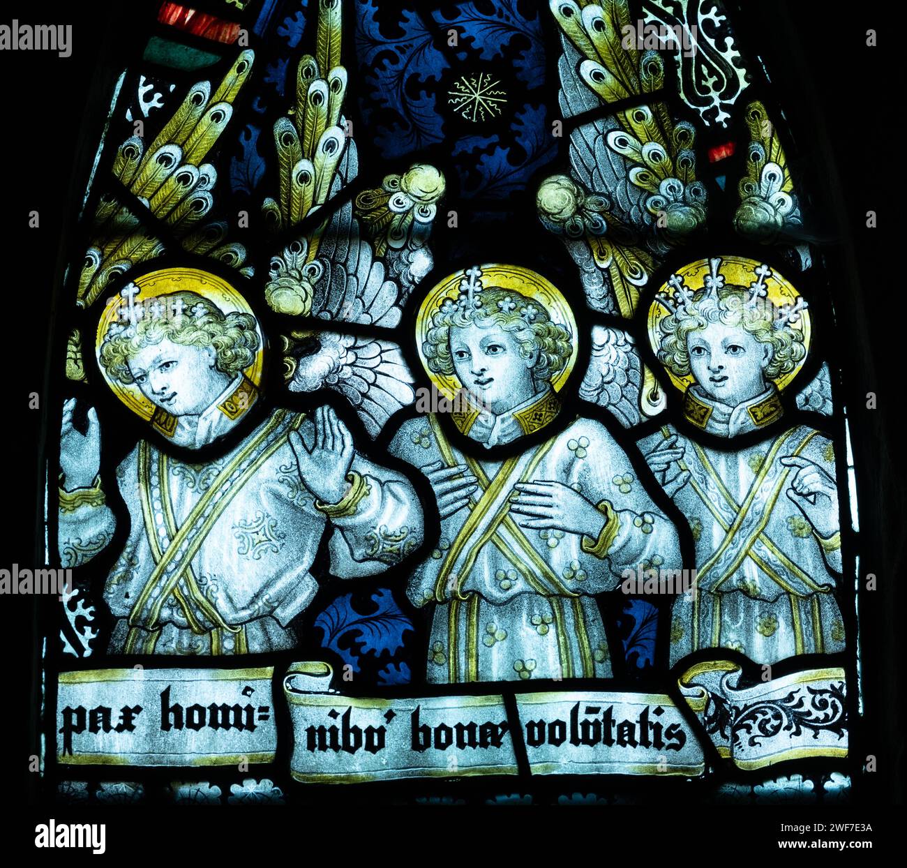 Angels stained glass, St. Mary`s Church, Barby, Northamptonshire ...