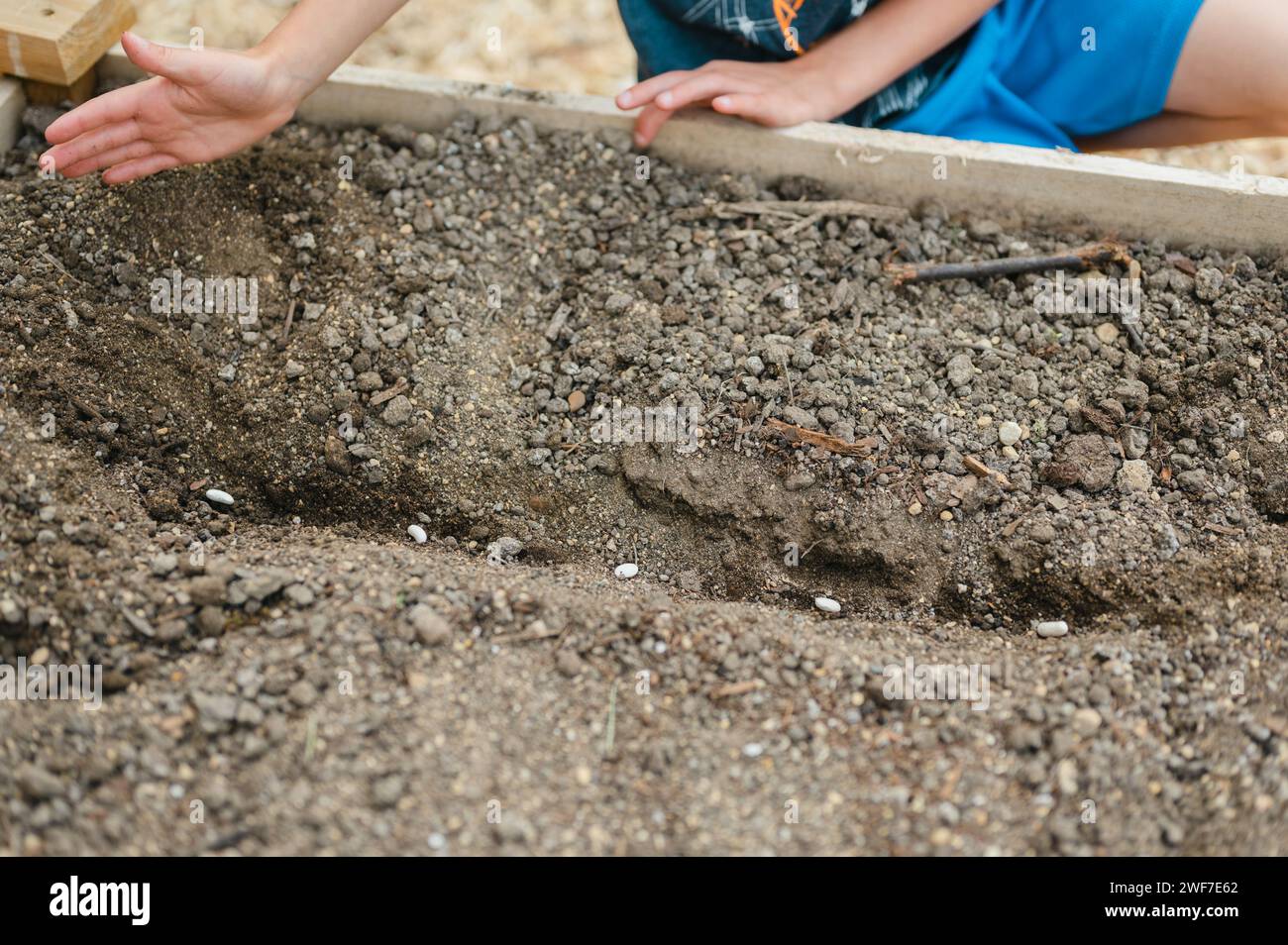 Child seeds garden hi-res stock photography and images - Alamy