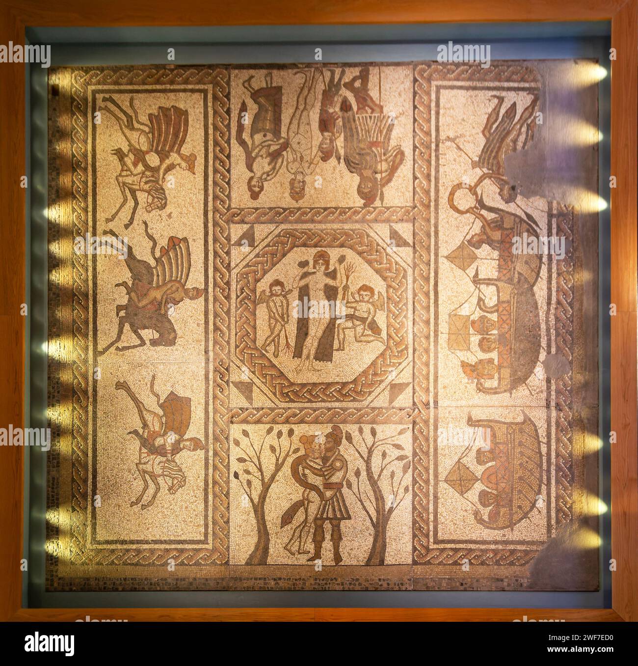 The Low Ham Roman mosaic inside the Somerset Museum, Taunton, Somerset ...