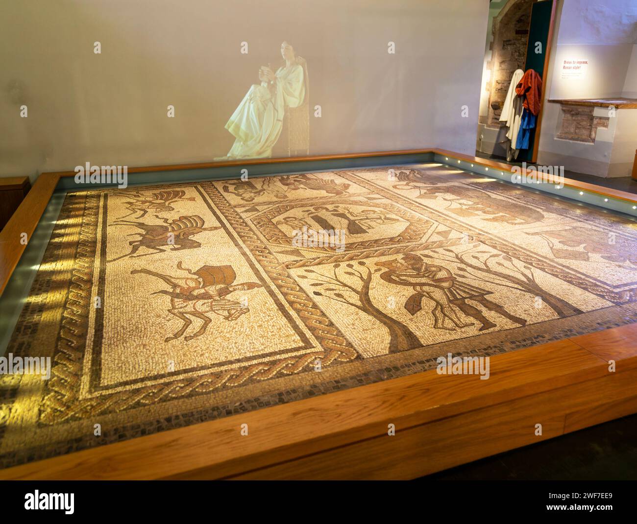 The Low Ham Roman mosaic inside the Somerset Museum, Taunton, Somerset ...