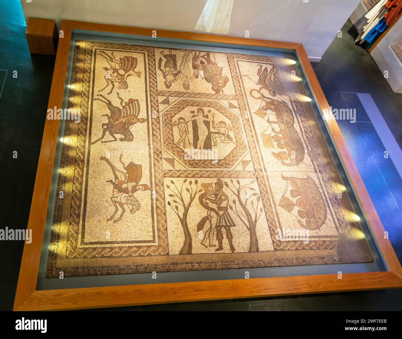 The Low Ham Roman mosaic inside the Somerset Museum, Taunton, Somerset ...