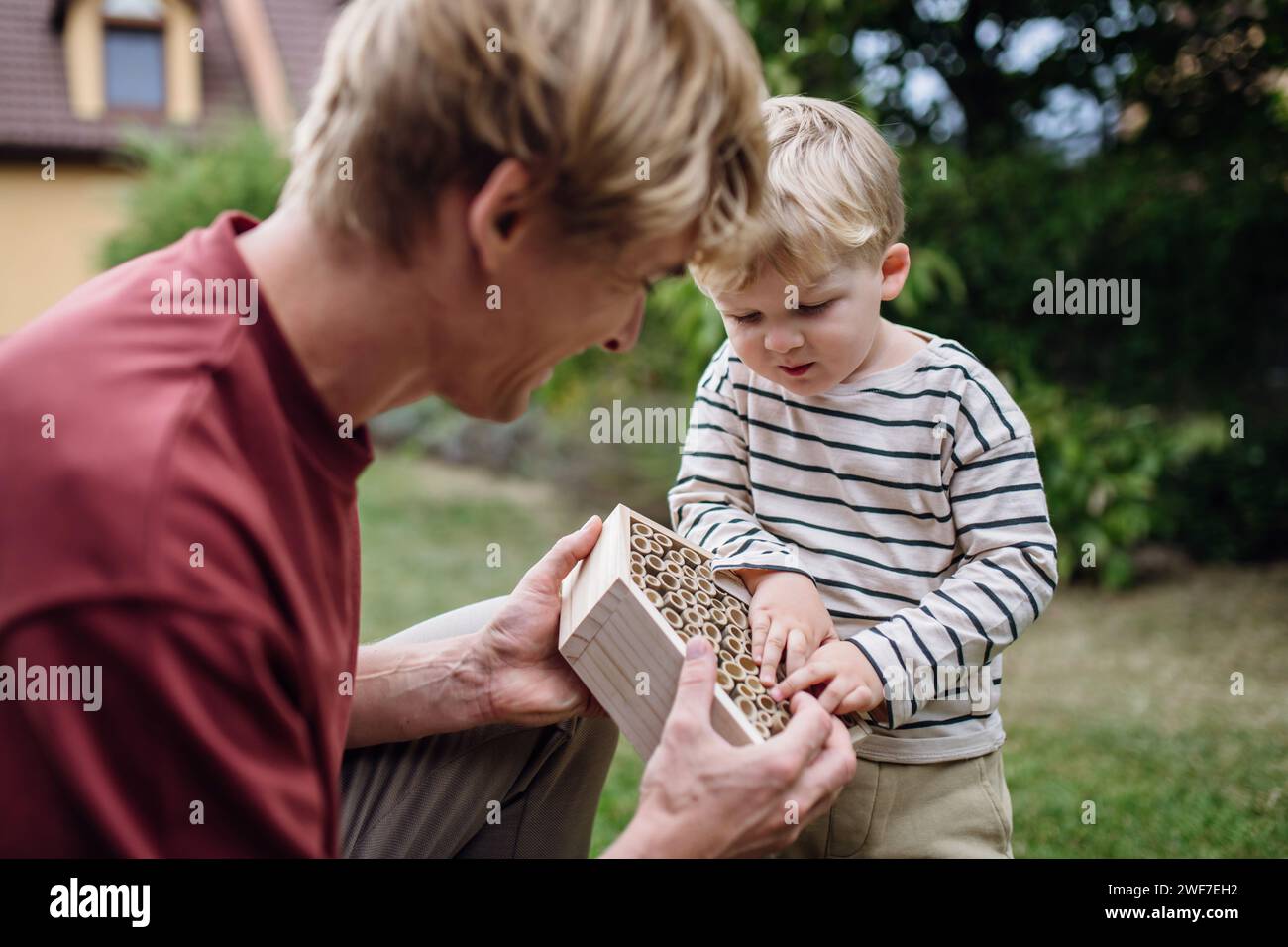 Father with little boy making bug hotel, or insect house outdoors in ...