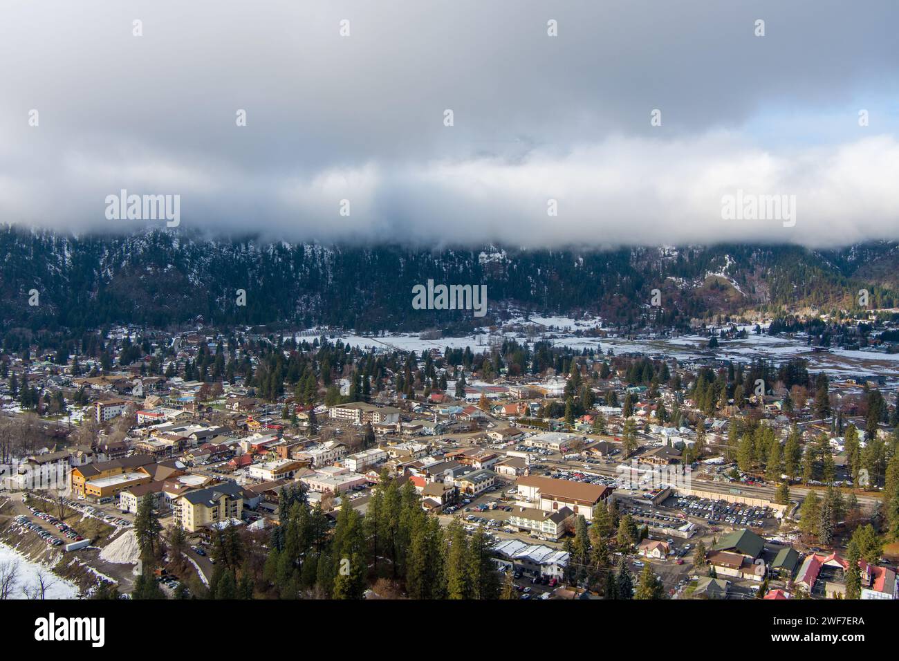 Usa washington blue spruce hi-res stock photography and images - Alamy