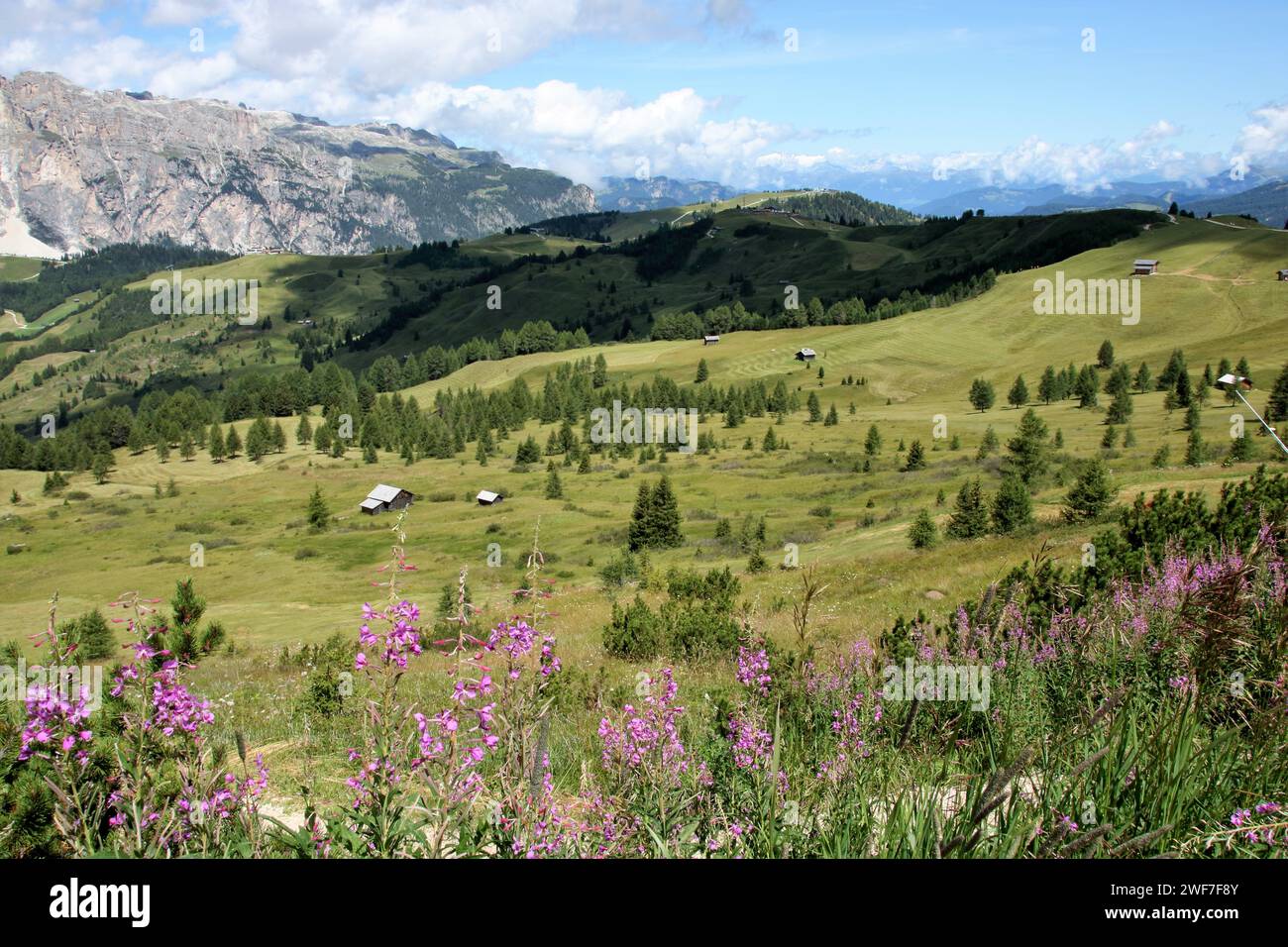 Dolomite's landscape in Alta Badia Stock Photo - Alamy