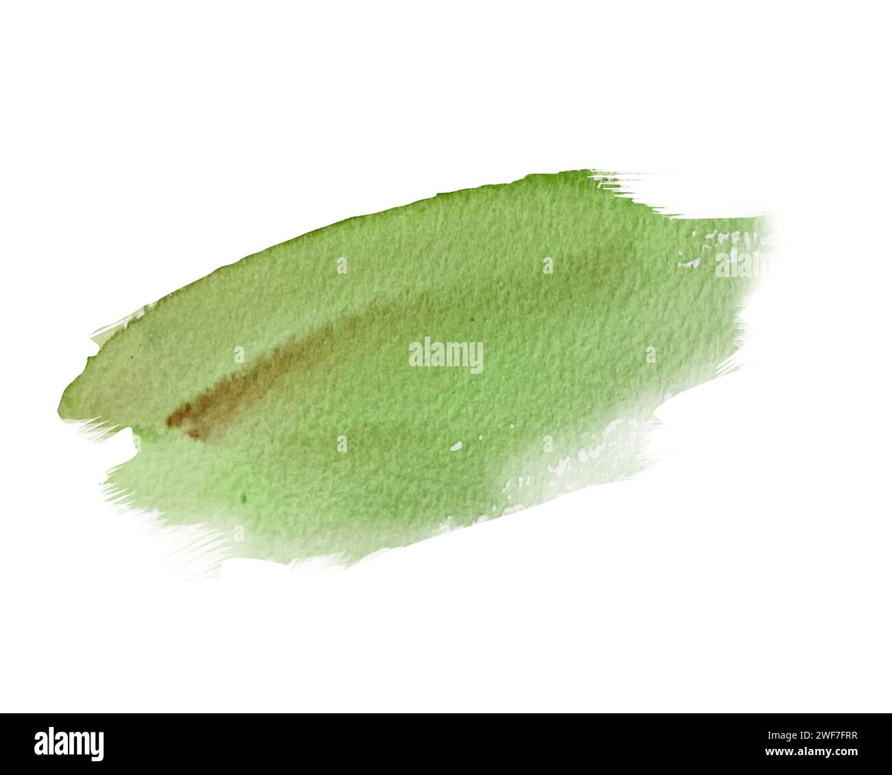 Watercolor brushstroke, green. Illustration isolated on white ...