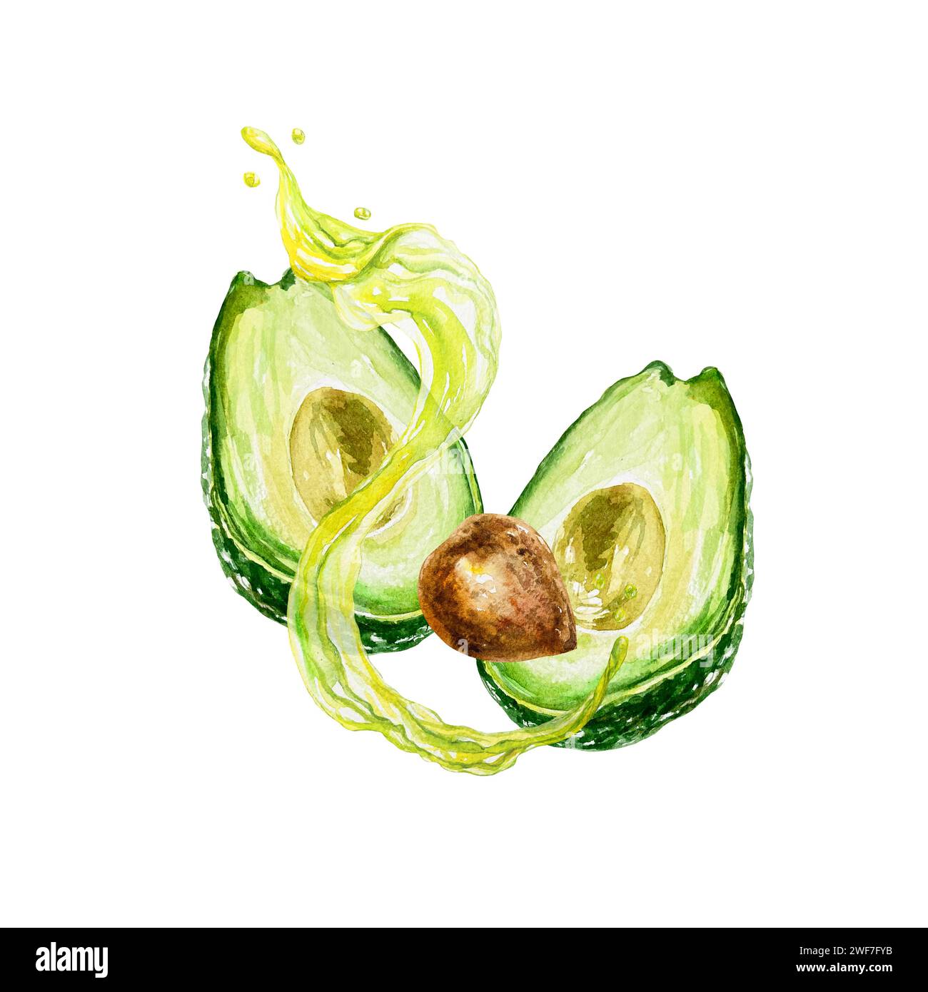 Seed labels hi-res stock photography and images - Alamy