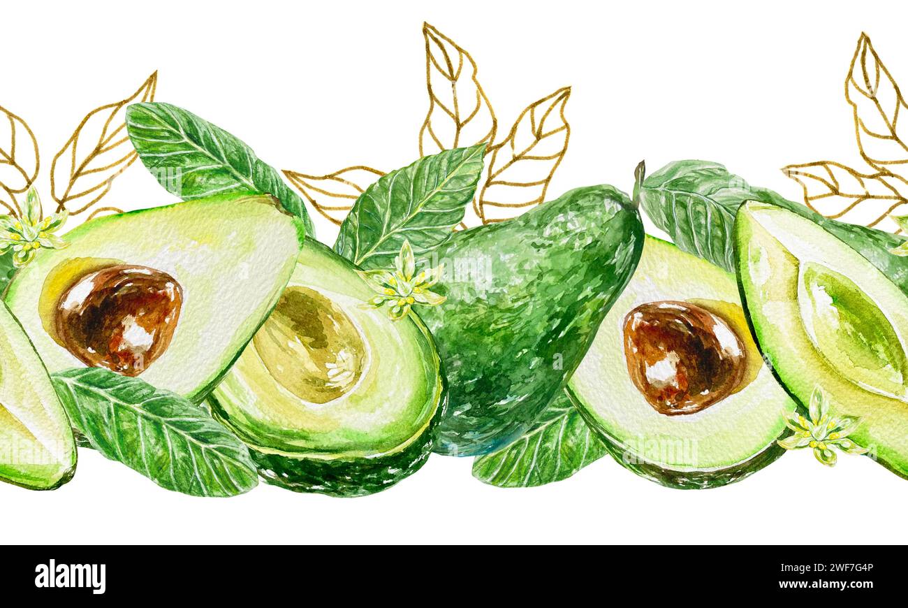 Avocado seamless border. Slice, seed, leaves. Watercolor illustration ...