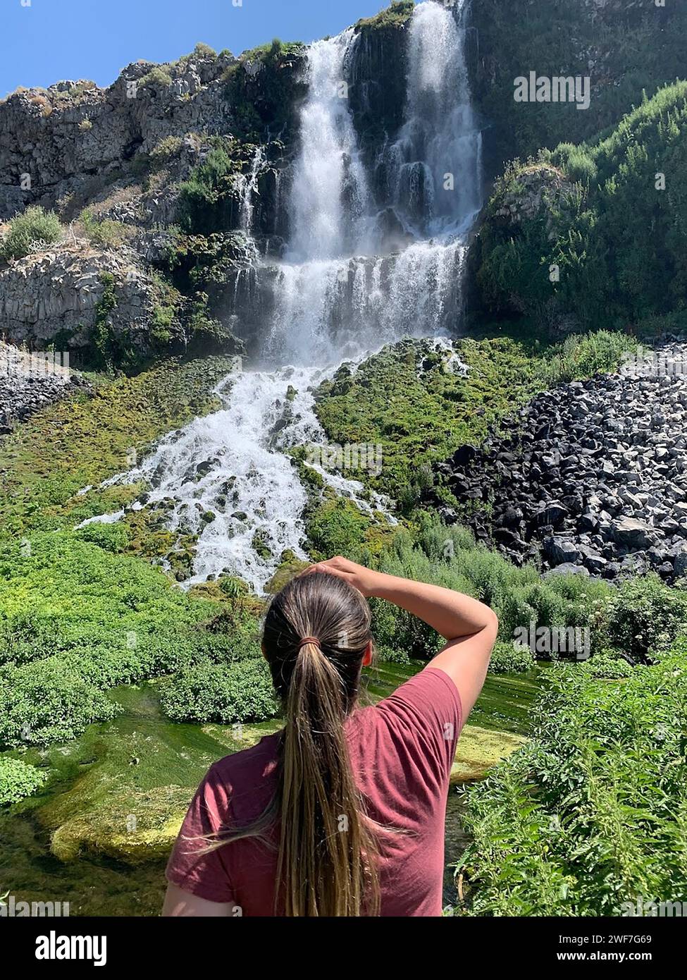 Ritter park hi-res stock photography and images - Alamy