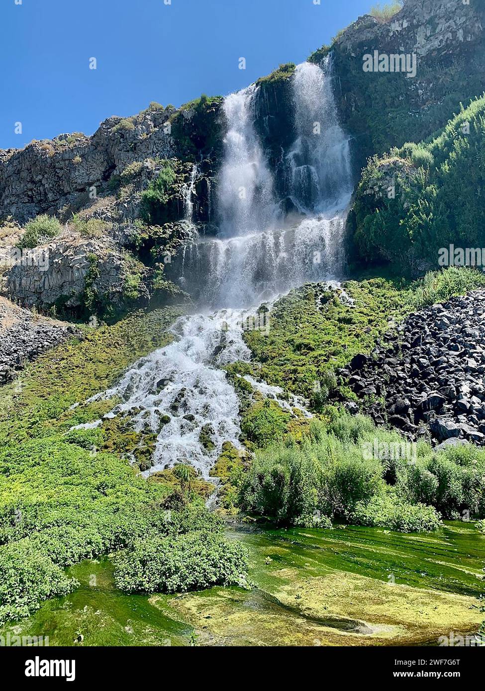 Thousand Springs Ritter Island Waterfall Close Up Stock Photo - Alamy