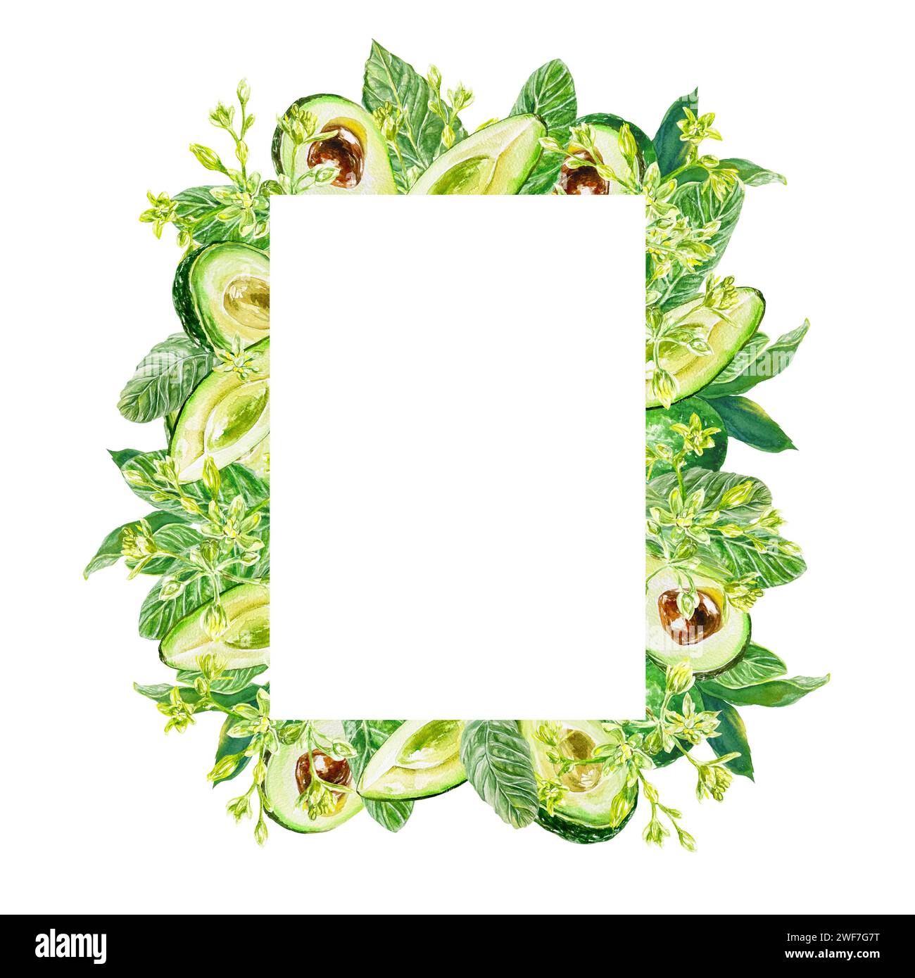 Avocado frame, vertical. Half of the fruit, seed, leaves. Watercolor ...