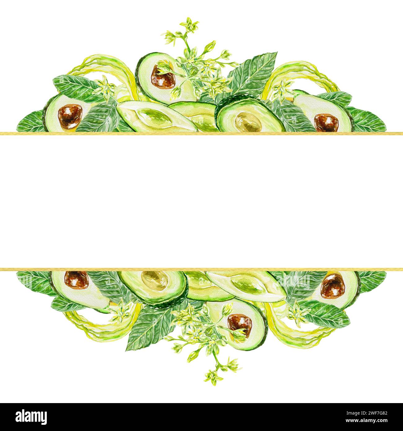 Avocado border. Fruits, pieces, leaves. Watercolor illustration ...