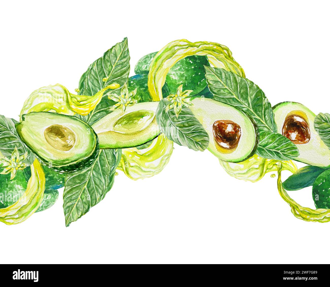 Avocado seamless border. Fruit, slice, leaves. Watercolor illustration ...