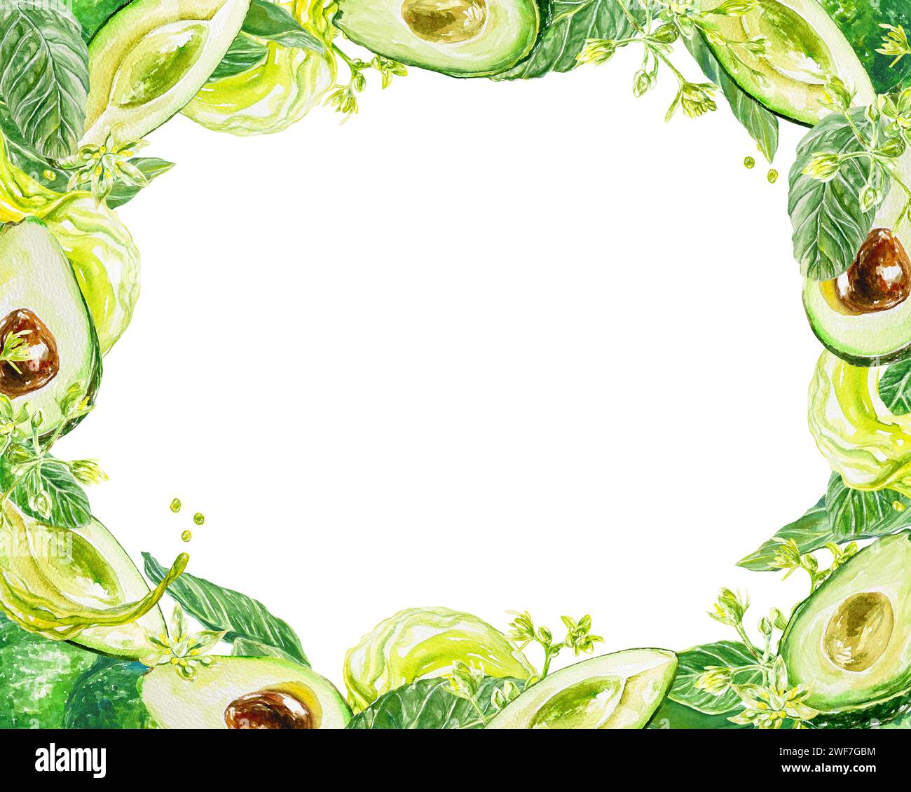 Avocado frame. Half of the fruit, seed, leaves. Watercolor illustration ...