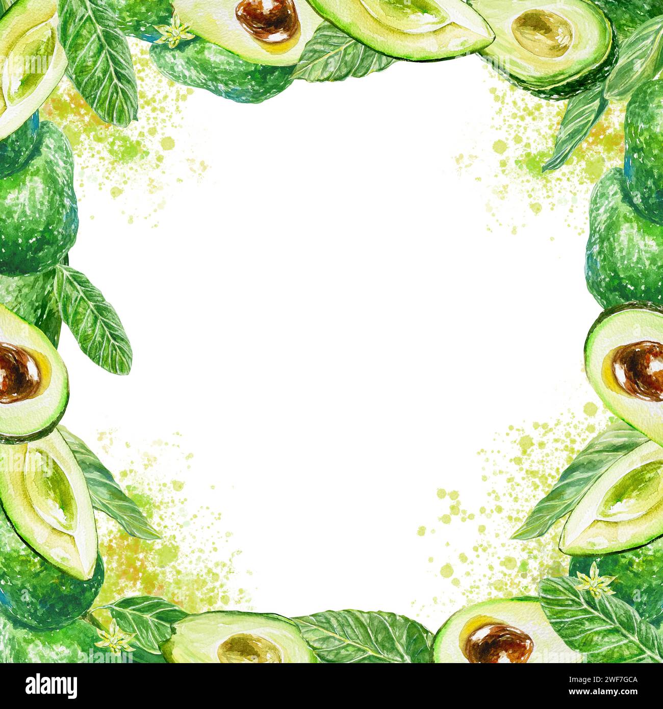 Avocado fresh frame decoration hi-res stock photography and images - Alamy