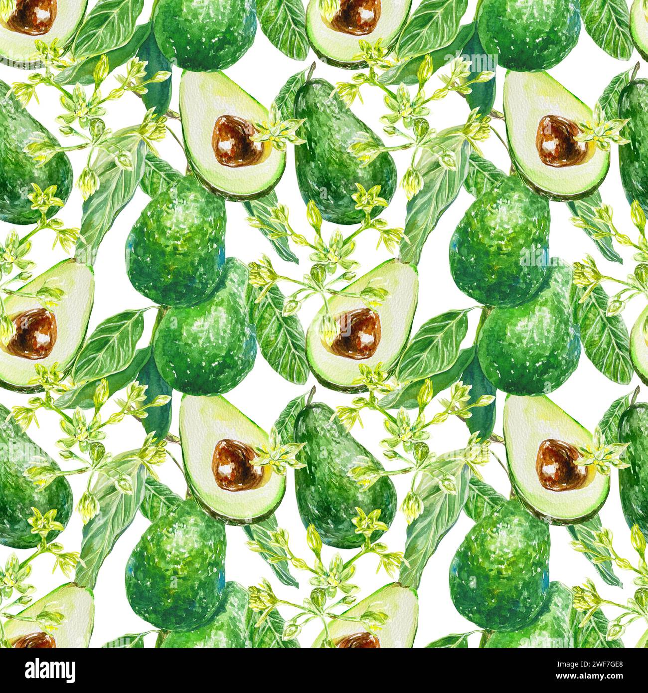 Avocado pattern watercolor. Fruit, slice, flowers. Illustration ...