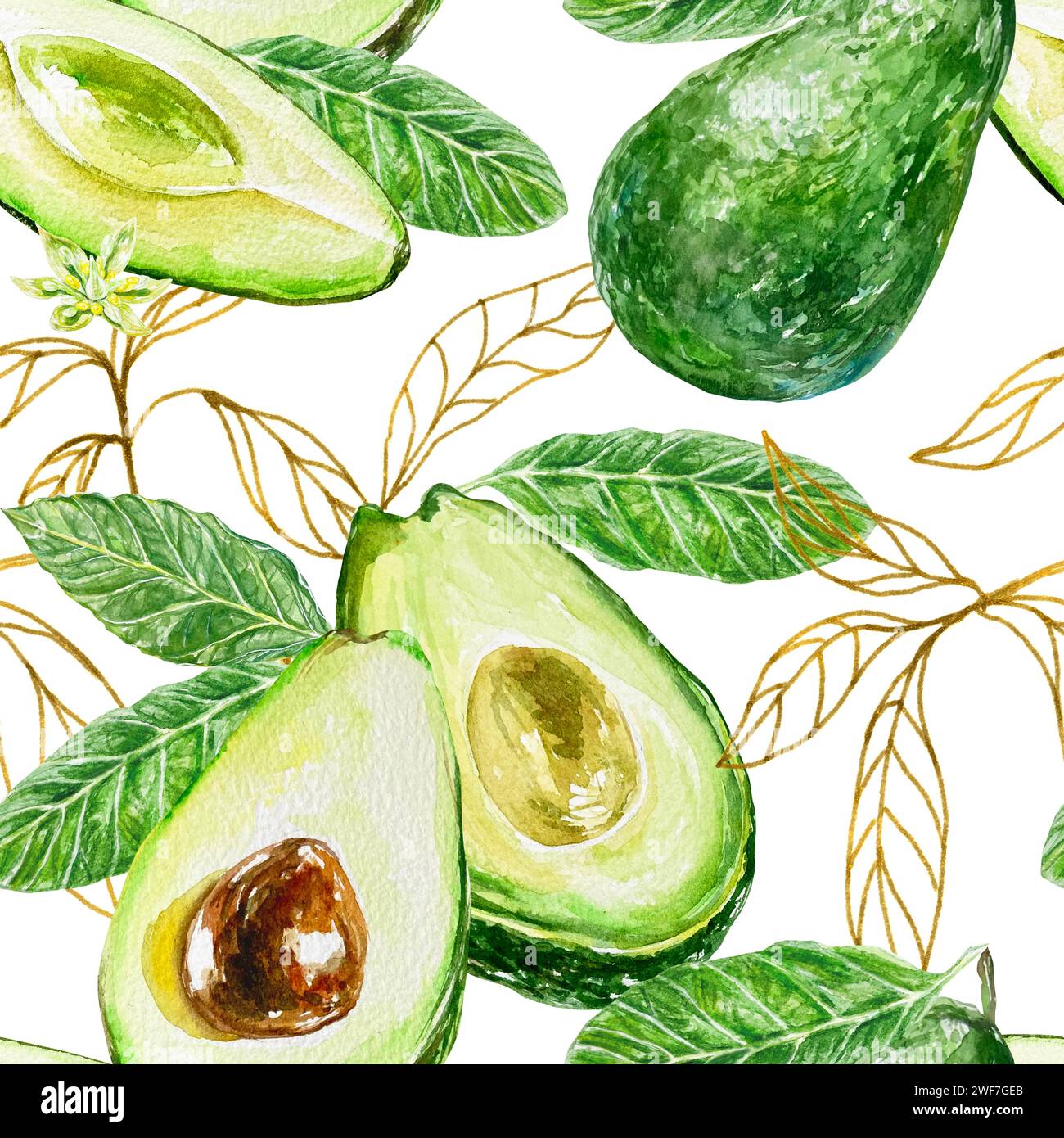 Avocado pattern watercolor. Half a fruit, a seed, a twig. Illustration ...