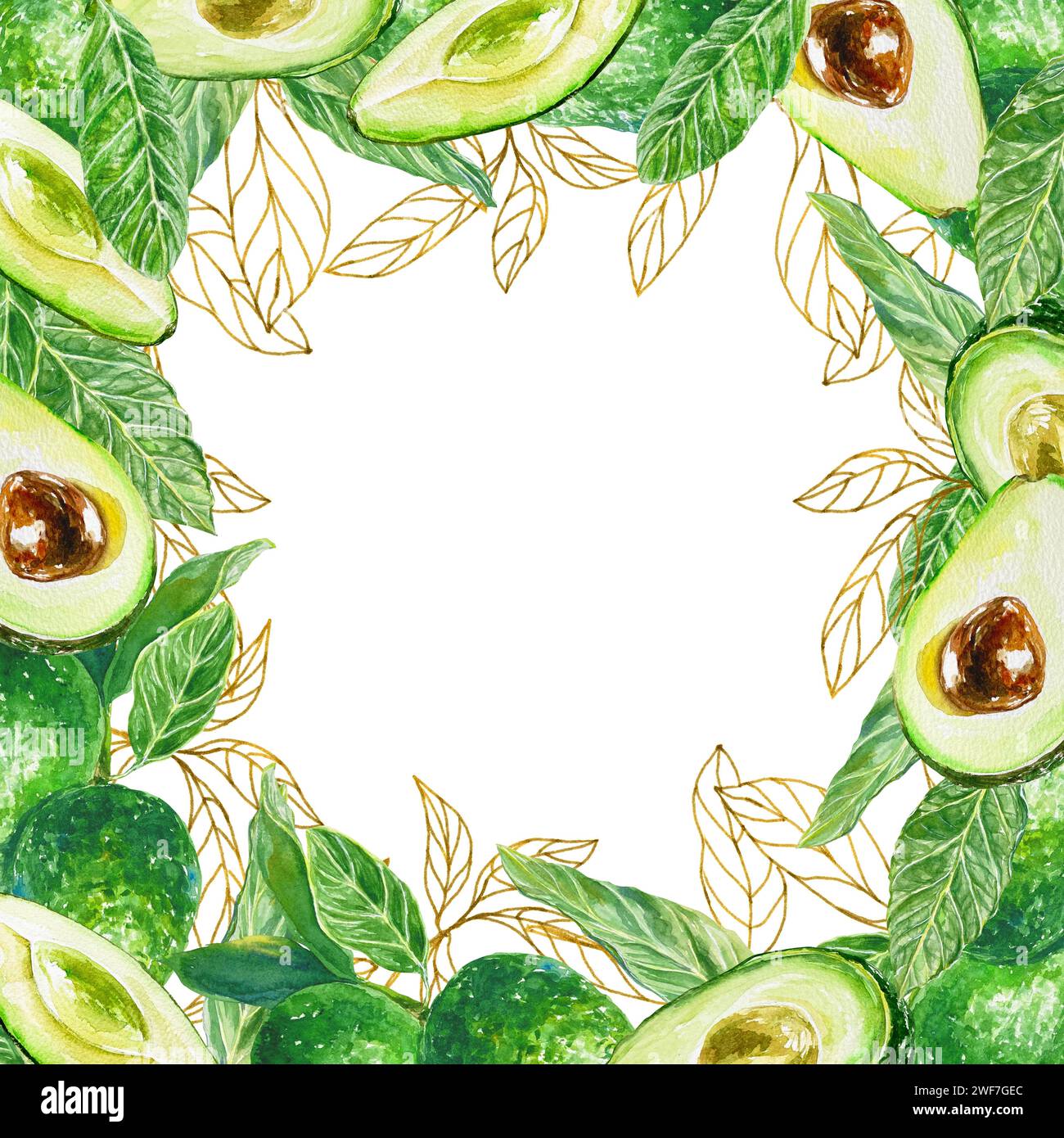 Avocado, frame. Half of the fruit, seed, leaves. Watercolor ...
