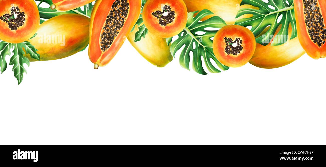 Marker frame, banner, template border with sweet ripe slice of papaya ...