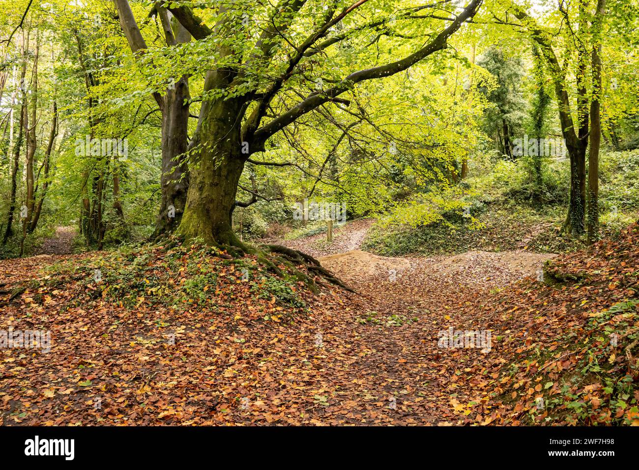 Pickerings bridge hi-res stock photography and images - Alamy
