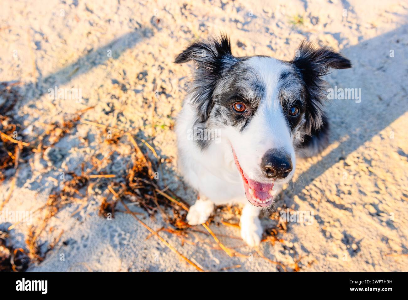 Mt mount dora florida hi-res stock photography and images - Alamy