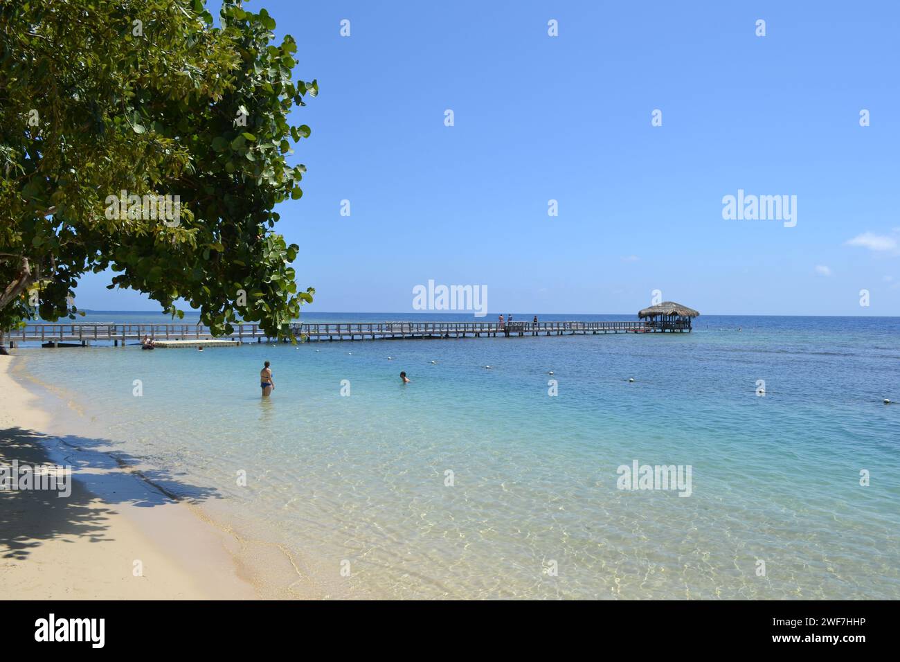 The view of the crystal clear waters along the coast of Maya Key ...